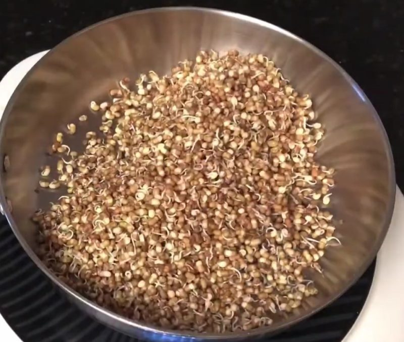 Moth Beans curry/Madike Kalu palya | Akshata's Kitchen - Easy Indian ...